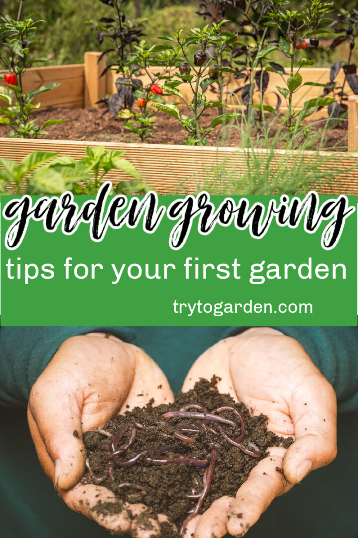 10 Ways To Get Your Garden Growing