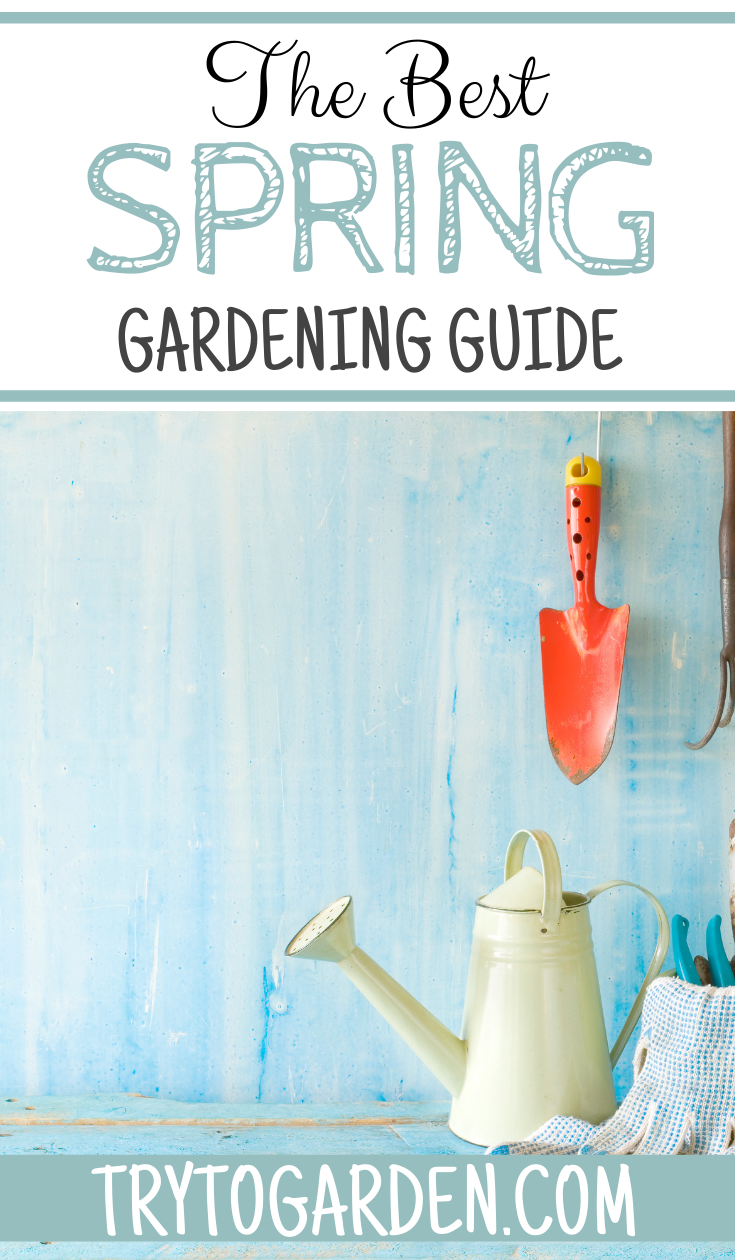 The Best Spring Gardening Guide - Try To Garden