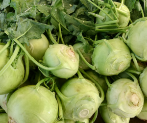 Gardening Tips for Kohlrabi that Actually Work! - Try To Garden