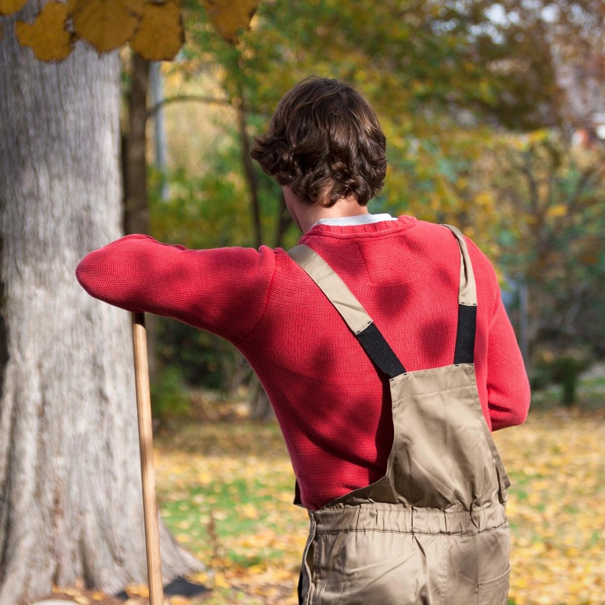 7 Tips for Gardening With a Bad Back - Try To Garden